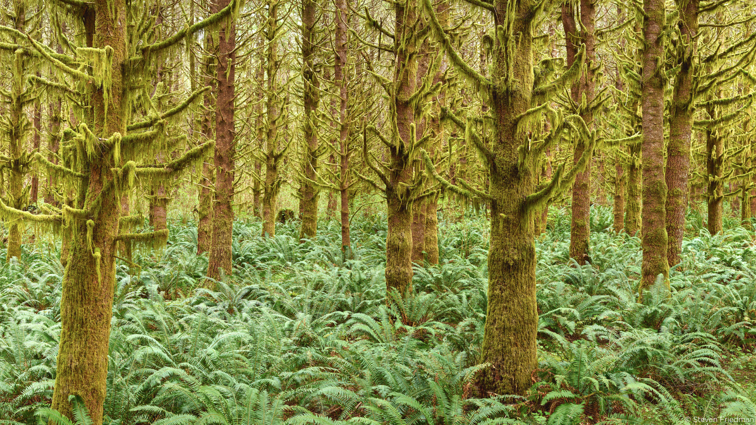 Shoots intriguing landscapes - Phase One Corporate