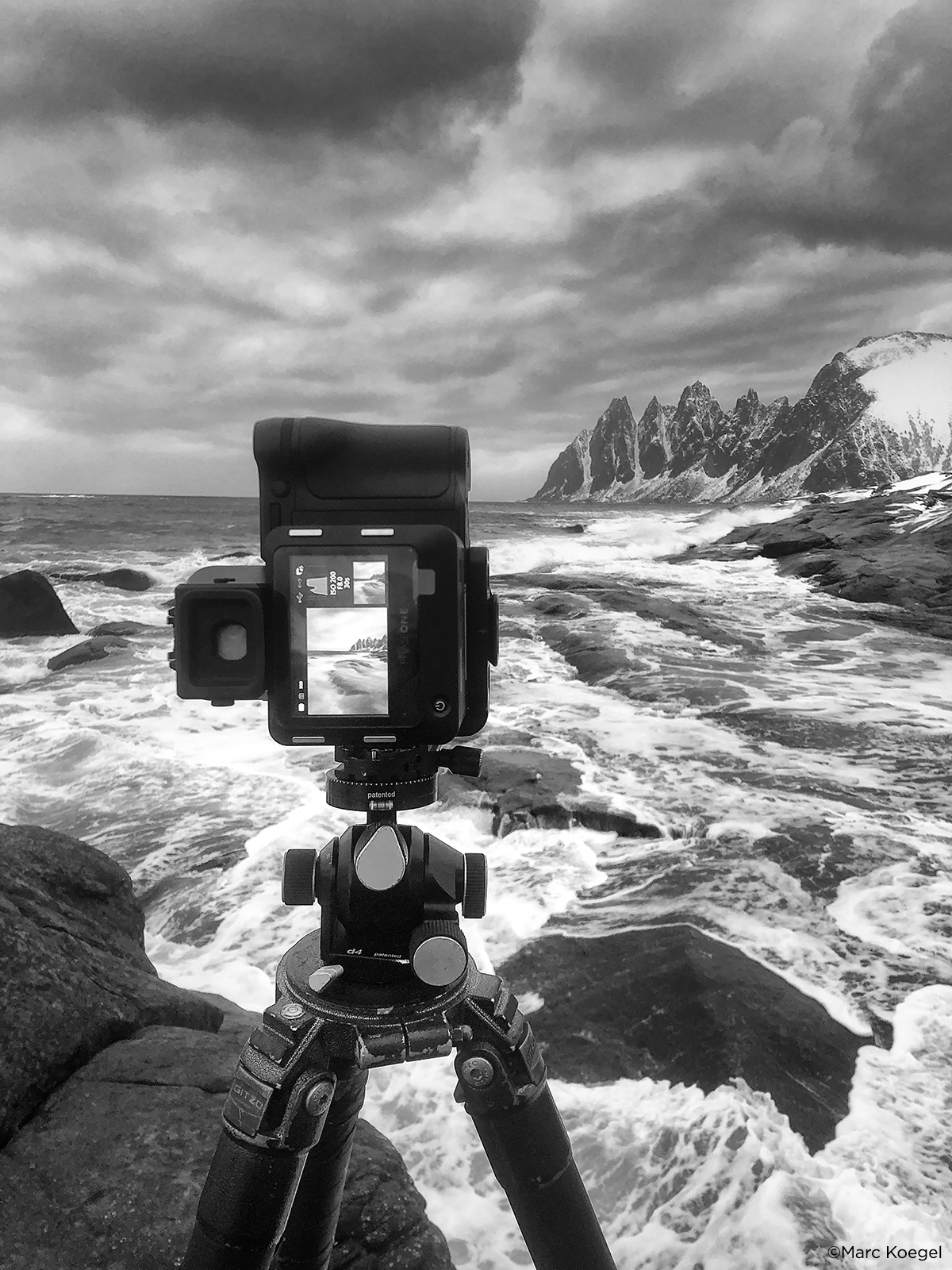 Achromatic Photography with IQ4 150MP: Black & White Precision