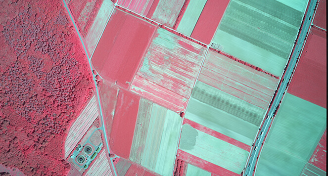 Bridging Processes using Phase One Imagery for Agricultural Analysis ...