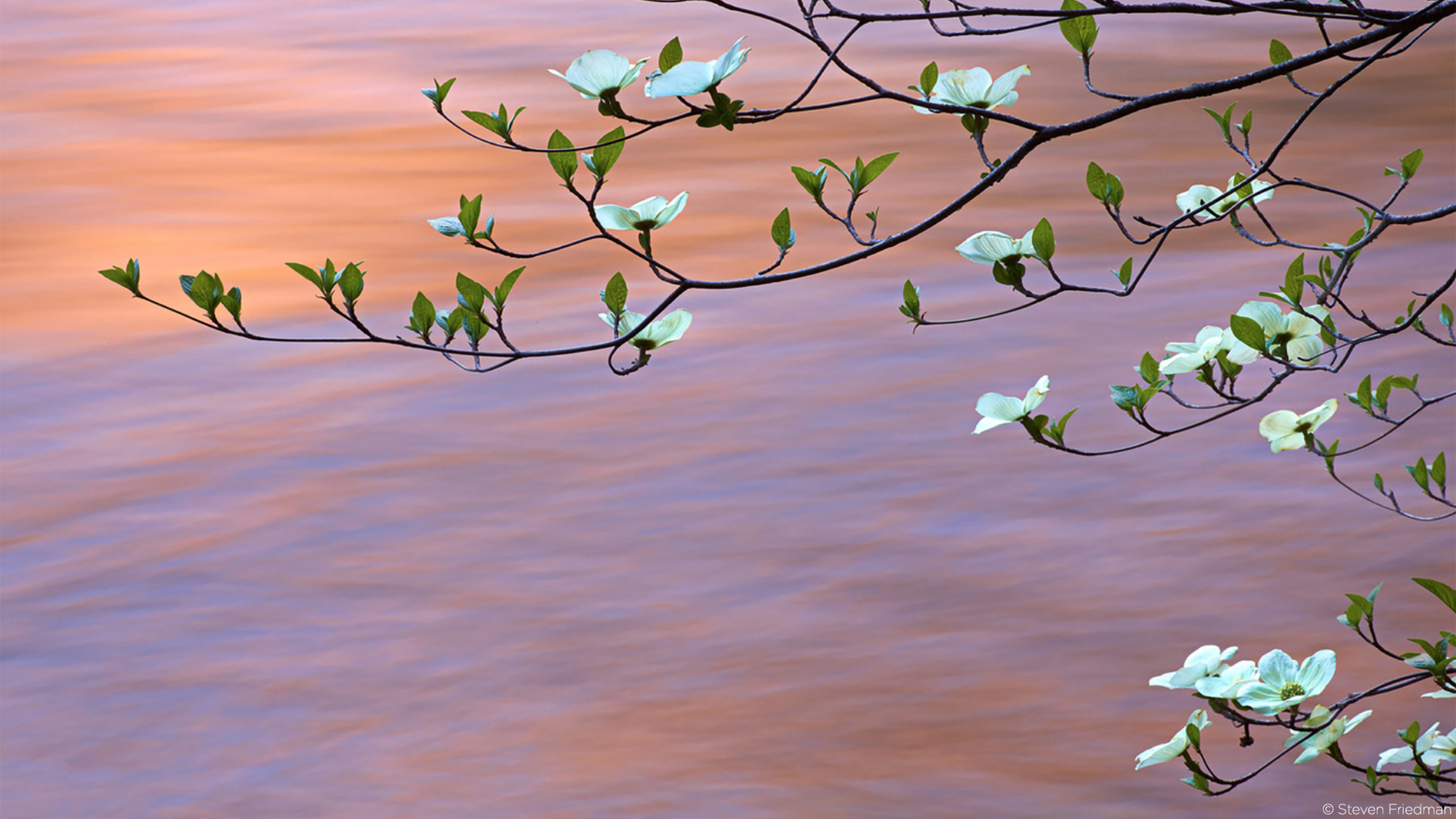 Extraordinary stories: Every photo is a journey - Phase One Corporate