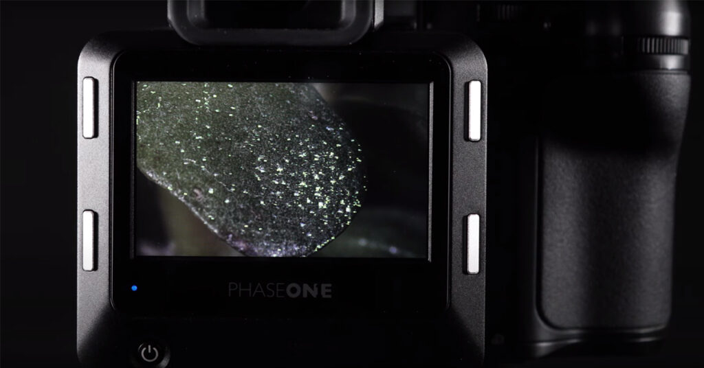 Focus peaking on the IQ4 digital back - Phase One Corporate