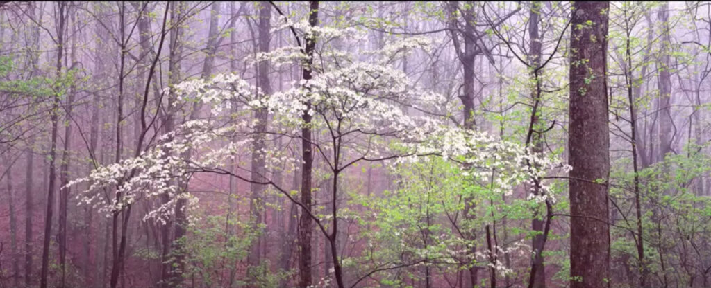 Seeing Landscapes – The creative process with Steven Friedman | Phase ...