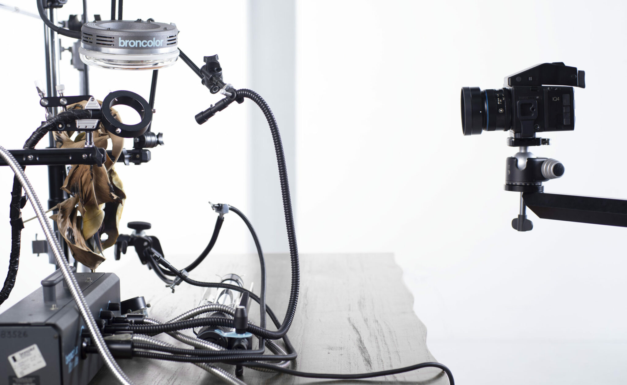 Sails Chong - Phase One Corporate