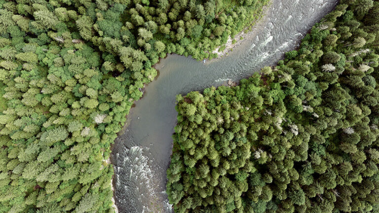 About Phase One: Pioneers leading in digital imaging solutions