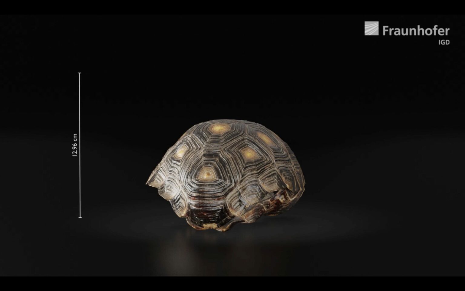 Digitizing Dinosaurs: Scanning Exhibitions to Virtual 3D | PhaseOne