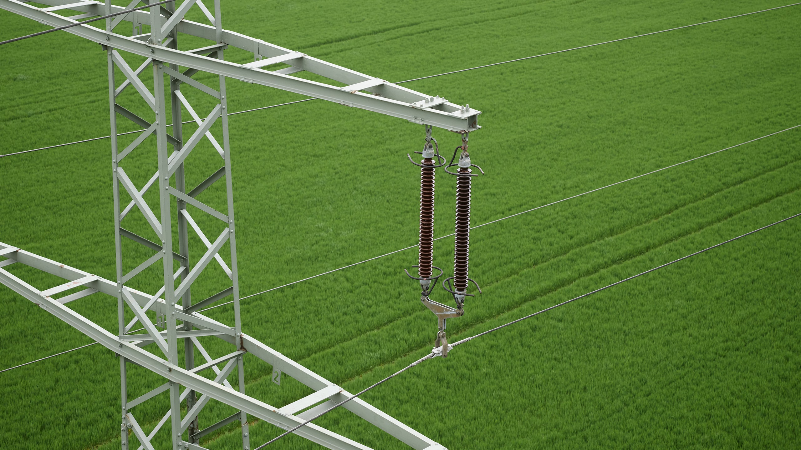 Large image sensor - Phase One Corporate